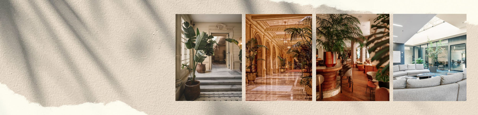 Ambient Scenting – Scent by SIX